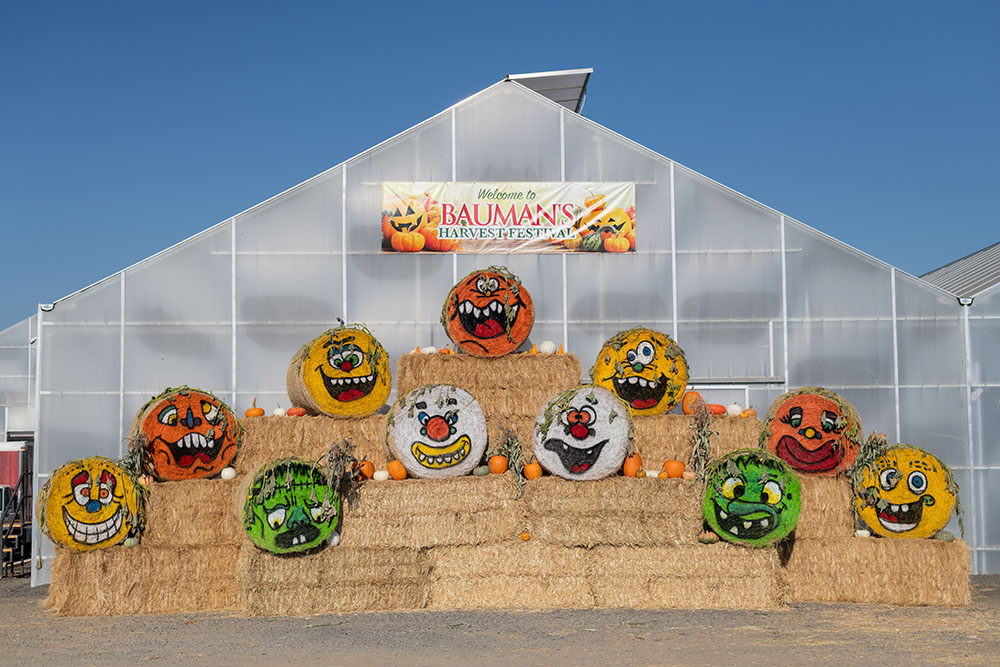 Tuesday String Band - Bauman's Harvest Festival